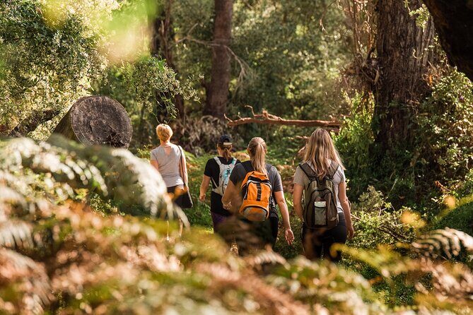 Yanchep Ultimate Adventure Guided Hike Tour - Key Points