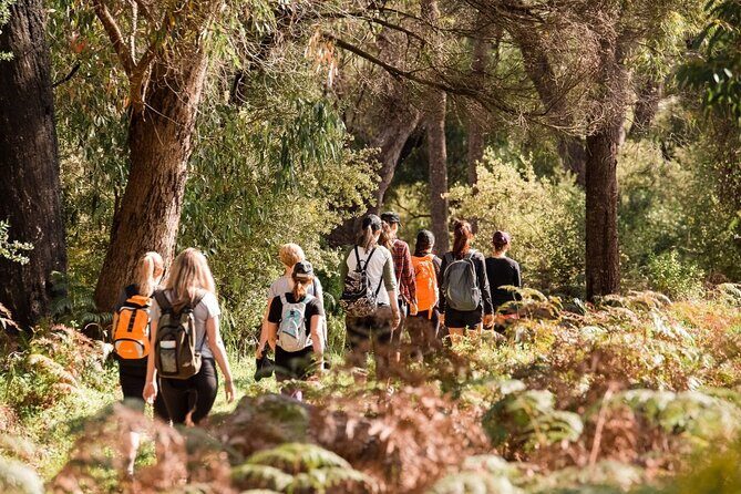 Yanchep Ultimate Adventure Guided Hike Tour - A Closer Look at the Yanchep Guided Hike