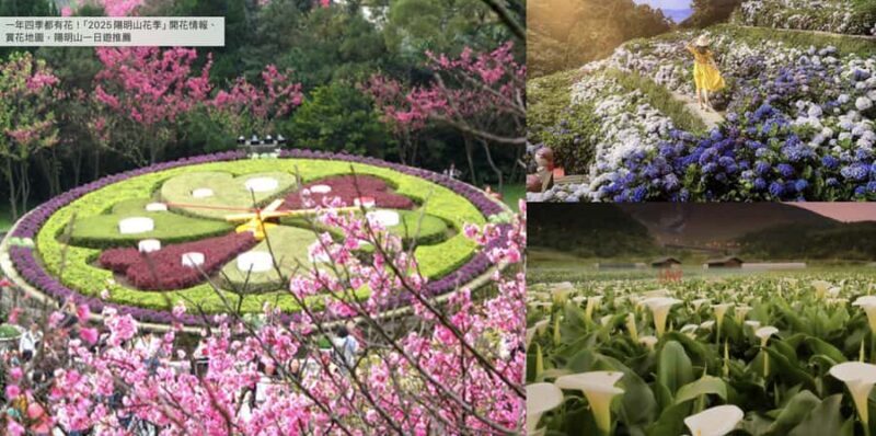 Yangmingshan & Beitou Geothermal Wonders Day Tour - A Detailed Look at What to Expect