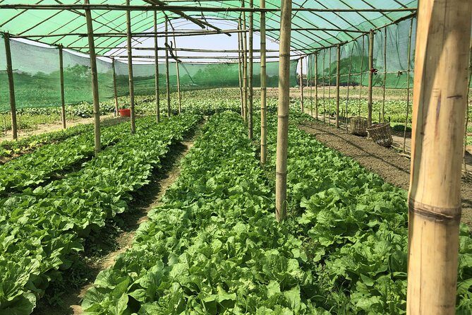 Yangon Outskirts - Rural Life Experience - Discovering the Village Life