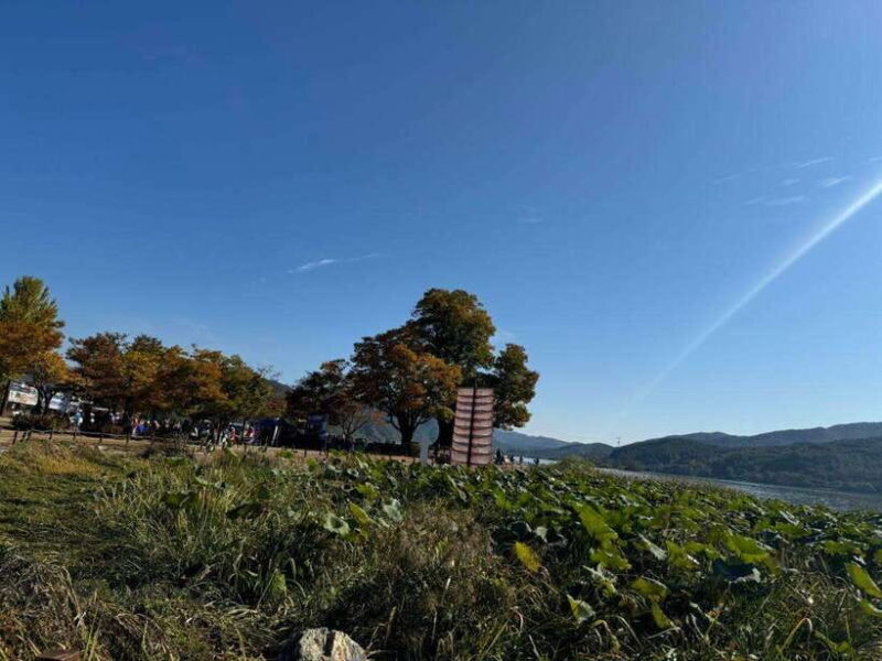 Yangpyeong Day Trip:Nature, Art & Cafe in Yangpyeong - FAQs