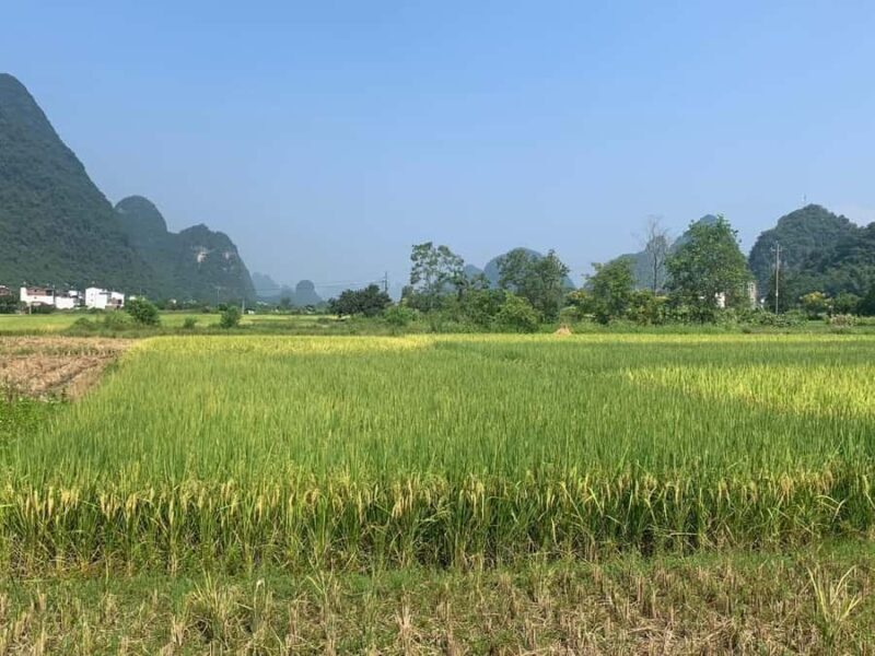 Yangshuo: Electric Scooter Tour with Painting Class - FAQ
