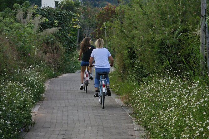 Yangshuo Highlights Li River Cruise and Biking Along Yulong River - Who Will Love This Tour?