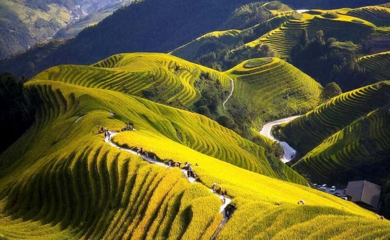 Yangshuo: Longji Terraces & Long Hair Village Private Tour - Overview of the Tour