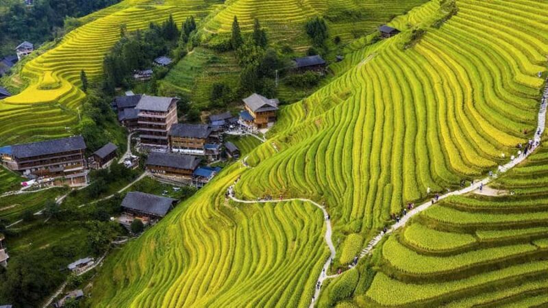 Yangshuo: Longji Terraces & Long Hair Village Private Tour - What to Expect from This Tour