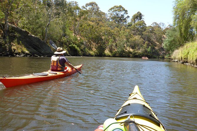 Yarra River Kayak Hire - The Real Deal: What to Expect on This Kayaking Journey