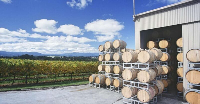 Yarra Valley: Bus Wine Tour with Lunch and a Glass of Wine - Discovering the Yarra Valley on a Guided Bus Tour