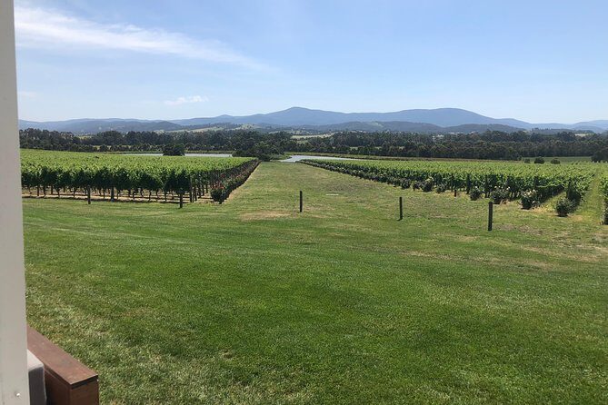 Yarra Valley, Dandenong Ranges inc. lunch with wine,plus morning tea,chocolate - Key Points