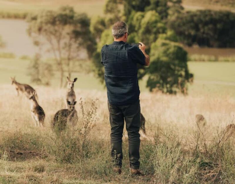 Yarra Valley Foodies Tour with Chandon and Kangaroo Safari! - Who Should Consider This Tour?