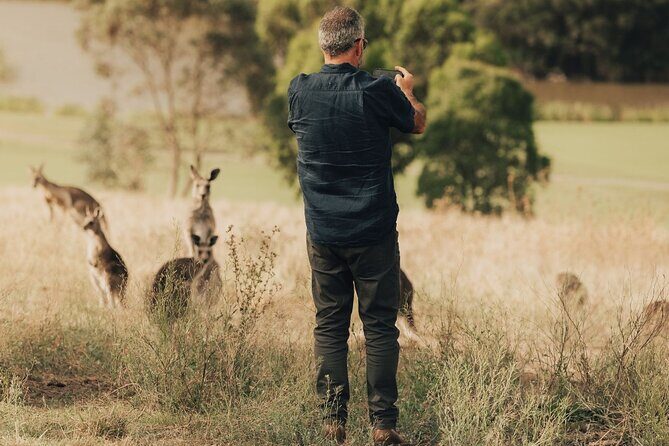 Yarra Valley Foodies Tour with Chandon & Kangaroo Safari! - FAQs