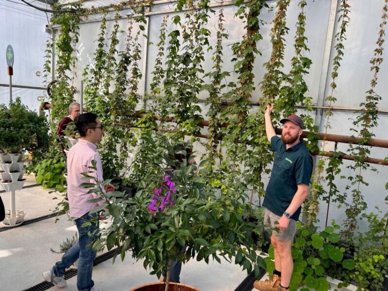 Yarra Valley Full Day Grazing Tour: Gin, Wine, Pizza, Cheese - FAQ