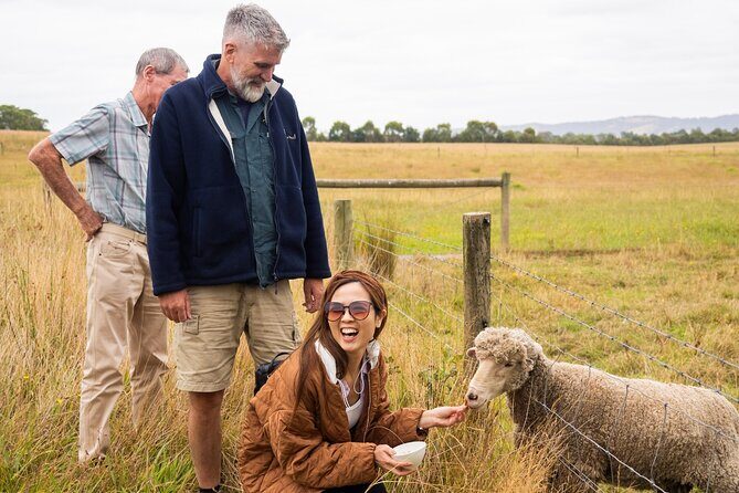 Yarra Valley Grazing Tour Wine, Cheese, Gin, Pizza from Melbourne - Exploring Healesville’s Charm
