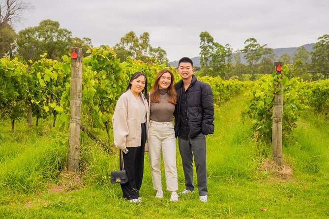 Yarra Valley Grazing Tour Wine, Cheese, Gin, Pizza from Melbourne - Lunch: Woodfired Pizza