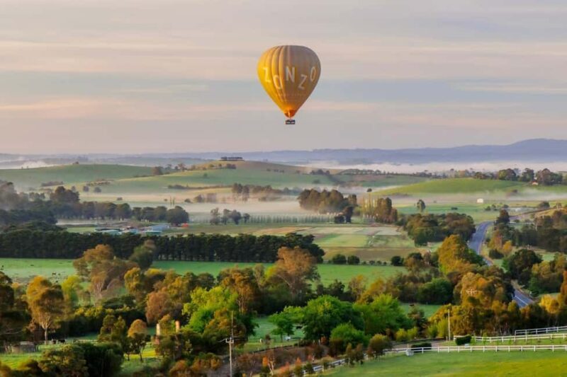 Yarra Valley: Hot Air Balloon with Breakfast & CBD Transfers - The Experience: What You Can Expect