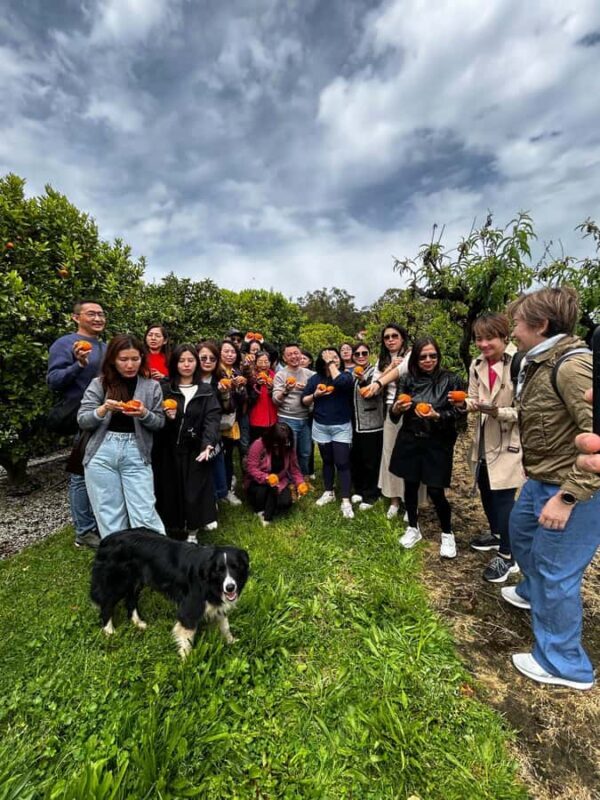 Yarra Valley: Orchard Tractor Tour with Fruit Tasting - The Sum Up