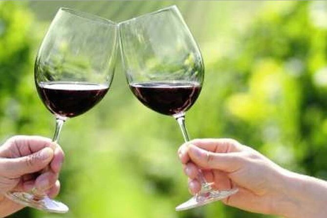 Yarra Valley Premium Tour inc Lunch and Cheese and Wine Pairing at De Bortoli - Frequently Asked Questions