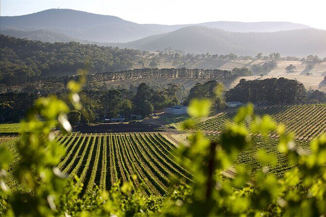 Yarra Valley Small Group with Lunch and Gin Tasting Four Pillars - FAQ