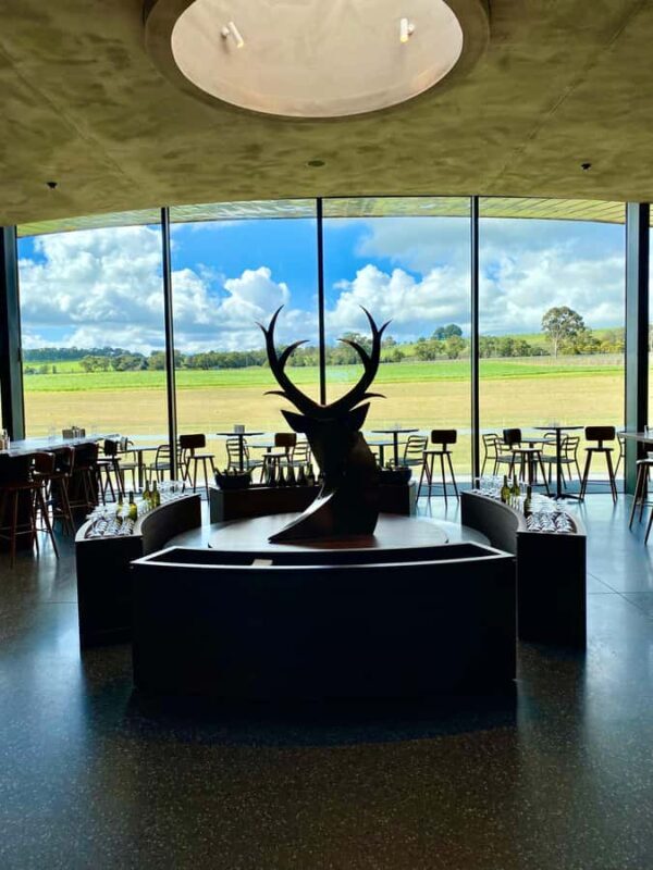 Yarra Valley: Wine and Chocolate tasting tour. - The Sum Up