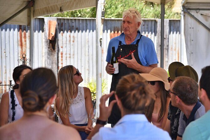 Yarra Valley wine and gin tour with Champagne Lunch at Chandon! - Who Should Consider This Tour?
