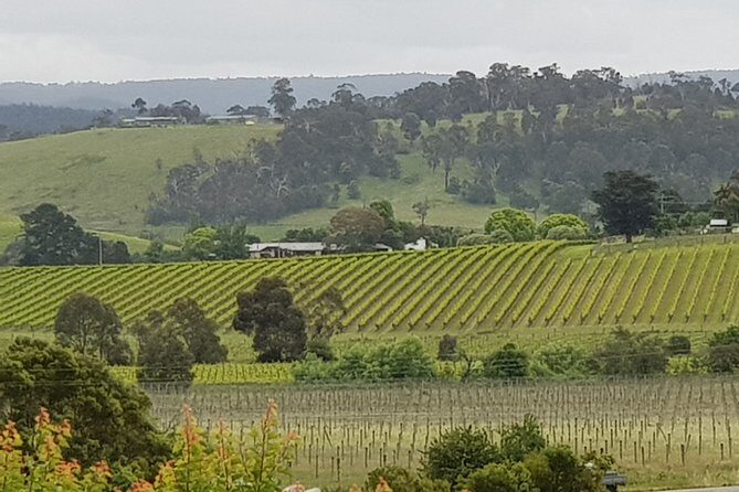 Yarra Valley Wine Tasting Day Tour from Melbourne - Key Points