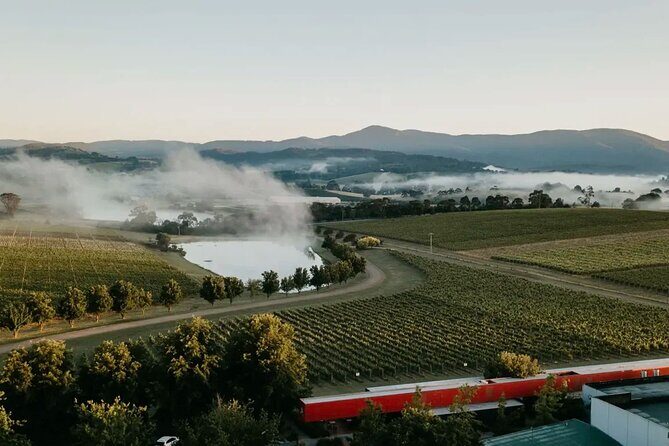 Yarra Valley Wine Tasting Private Tours - The Sum Up