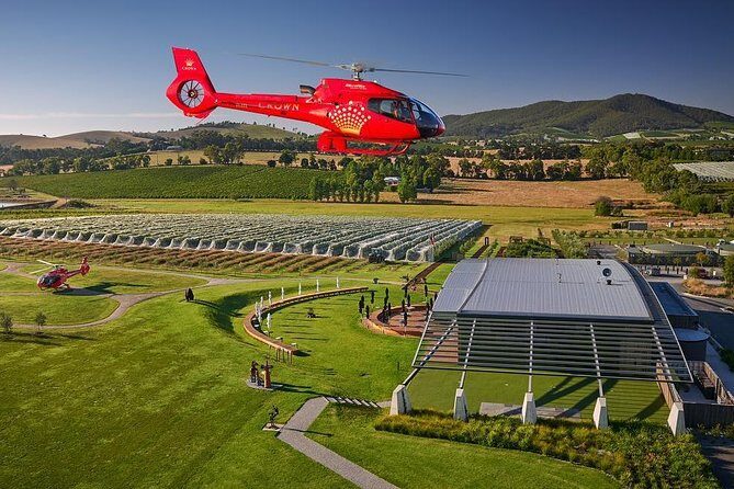 Yarra Valley Wine & Wildlife - Private Regional Tour - A Tailored Itinerary for Your Perfect Day