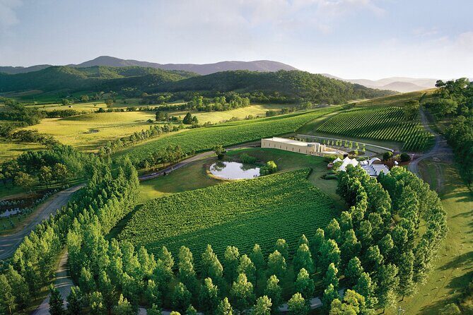 Yarra Valley Wineries Private Day Tour - Authentic Feedback from Past Participants