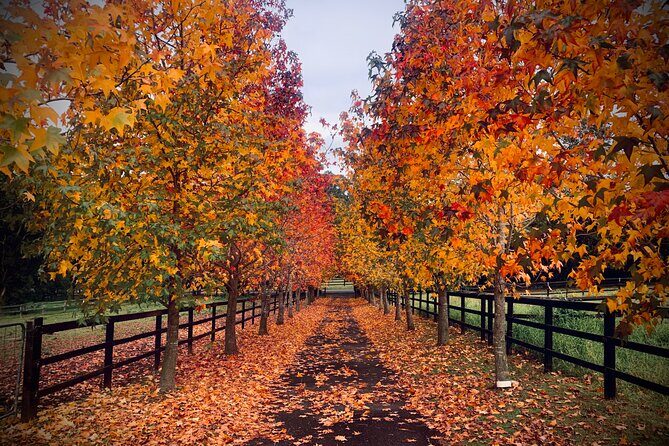 Yarramalong Valley Horse Farm Tours - Key Points