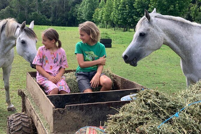 Yarramalong Valley Horse Farm Tours - The Sum Up