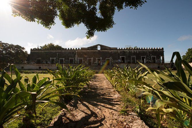 Yaxcopoil Hacienda, Uxmal & Cenote from Merida - A Deep Dive into the Experience
