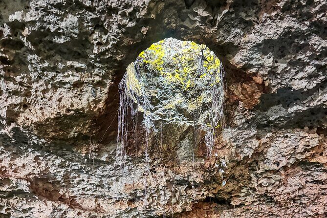 Yaxmuul and the Cenotes of the Mayan Underworld - FAQs