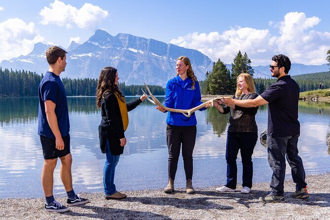 Year Round Tour: Banff and its Wildlife - What Sets This Tour Apart