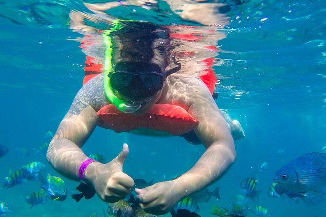 Yelapa Waterfall, BBQ at Exclusive Majahuitas Beach & Open bar - The Bottom Line: Who Will Love This Tour?