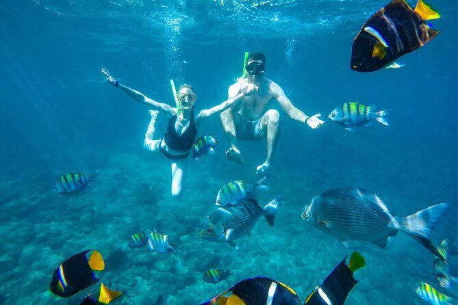 Yelapa Waterfall, BBQ at Exclusive Majahuitas Beach & Open bar - FAQ