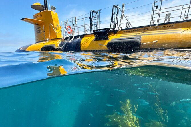 Yellow Semi-Submarine Tour of Catalina Island From Avalon - What Is the Semi-Submarine Experience?