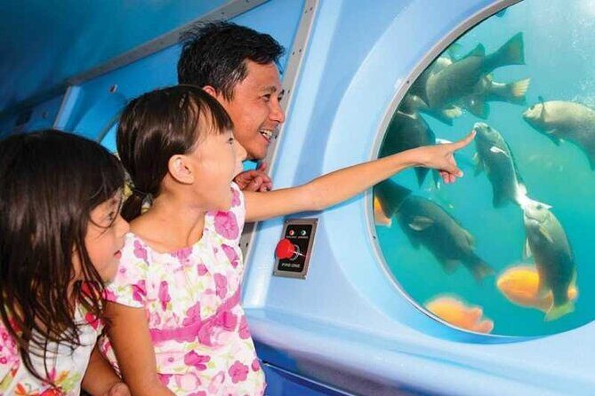 Yellow Semi-Submarine Tour of Catalina Island From Avalon - Marine Life and Underwater Gardens