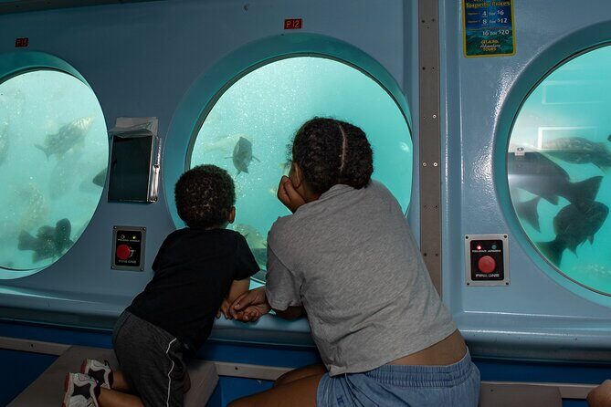 Yellow Semi-Submarine Tour of Catalina Island From Avalon - Practical Tips for Tour Day