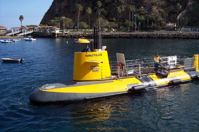 Yellow Semi-Submarine Tour of Catalina Island From Avalon - Who Should Consider This Tour?