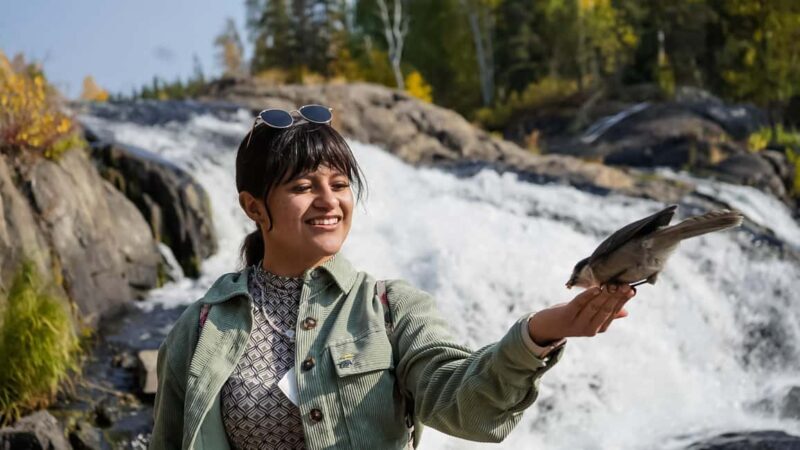 Yellowknife: Cameron Falls Nature Hiking Tour - Key Points