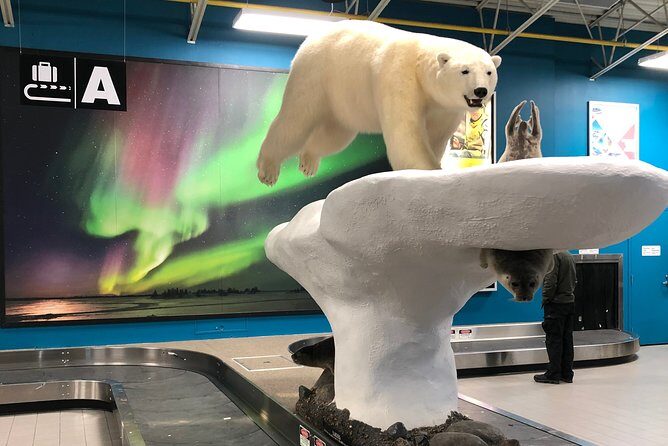 Yellowknife City Tour + Nature's North Wildlife Gallery - FAQ