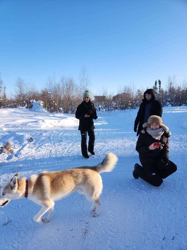 Yellowknife: Dog Sledding Tour - An Overview of the Experience