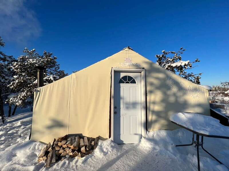 Yellowknife: Dog Sledding Tour - Comfort and Hospitality