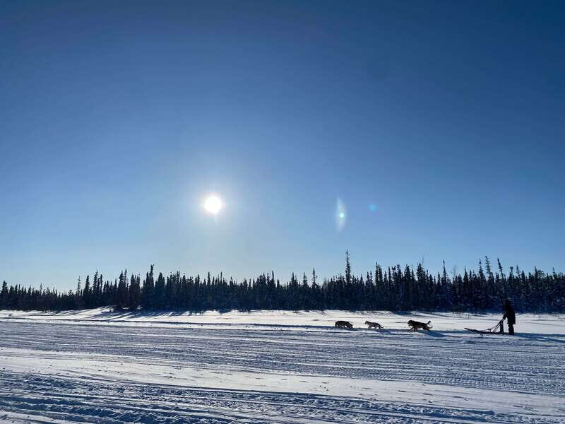 Yellowknife: Dog Sledding Tour - FAQ