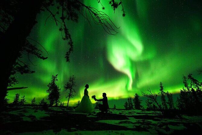 Yellowknife Full Day Tour with Aurora Borealis Northern Light - Analyzing the Tour’s Offerings