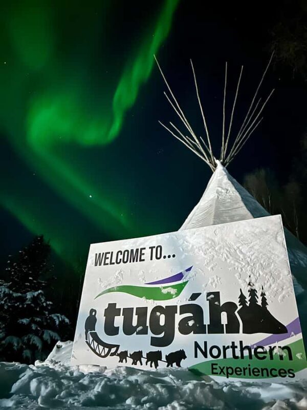 Yellowknife: Indigenous Dog Sledding Experience - Why Choose This Tour?