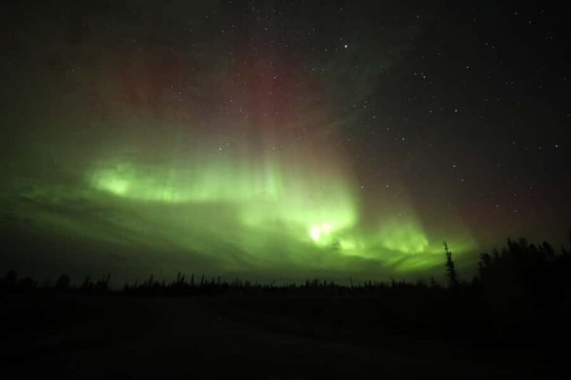 Yellowknife: Northern Lights Chasing Tour by Bus - Detailed Review