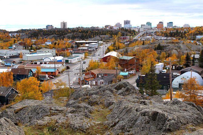 Yellowknife Sightseeing City Tour - Practical Details and Traveler Insights