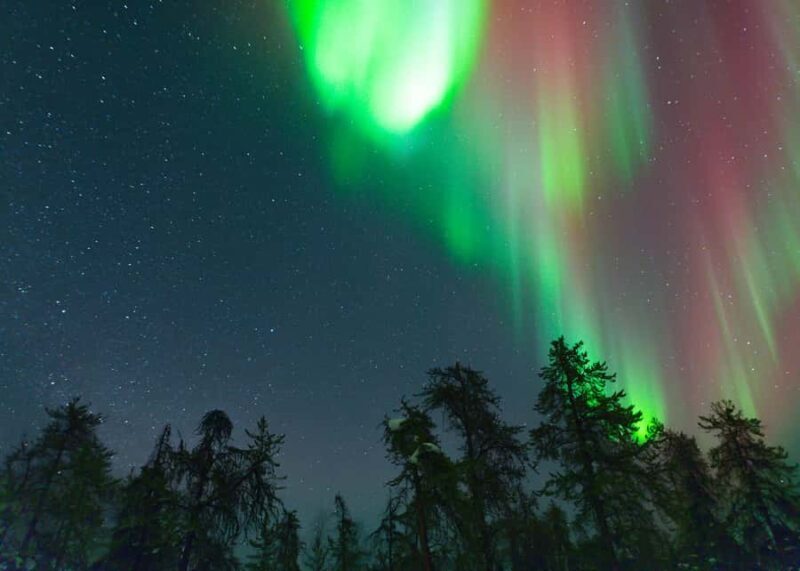 Yellowknife: Small Group Aurora Photography and Viewing - Who Will Enjoy This Tour?