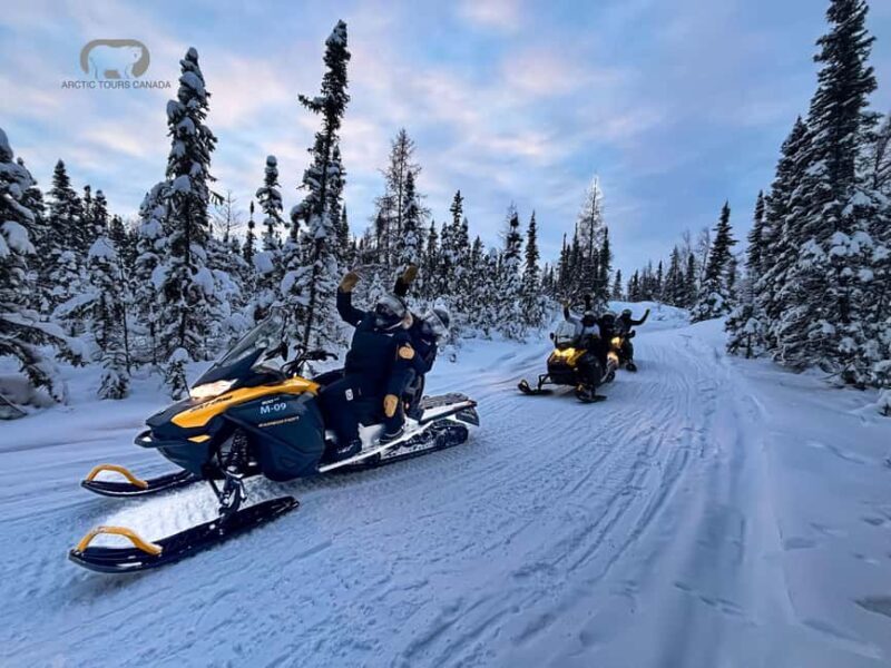 Yellowknife: Snowmobile and Ice Cave Guided Adventure Combo - Who Will Love This Tour?
