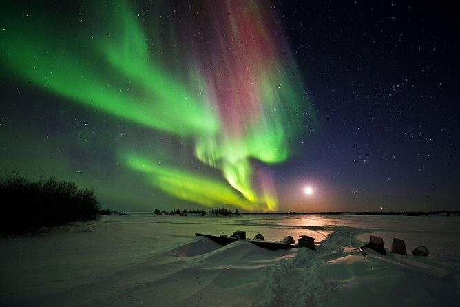 Yellowknife Tours - Aurora by bus - Authenticity and Experience: More Than Just a Light Show